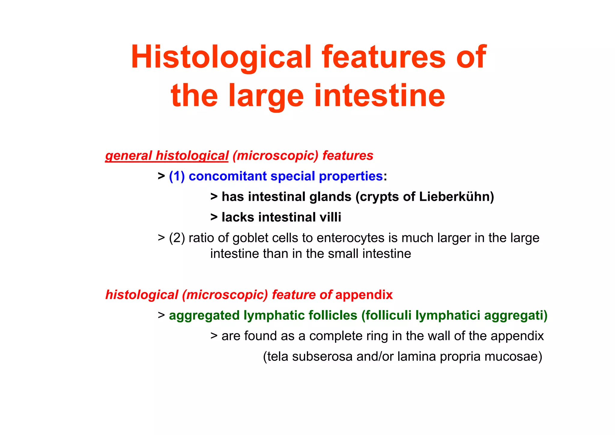 Comparison of mucosae of stomach,small and large intestines | PDF