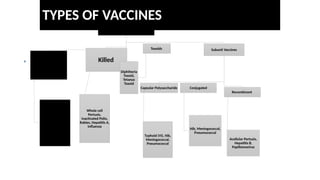 Comparison of Nationanl Immunisation Schedule Vs ACVIP Recommendations ...