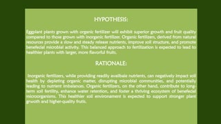 Comparison of Organic and Inorganic Fertilizer on Eggplant (1).pptx