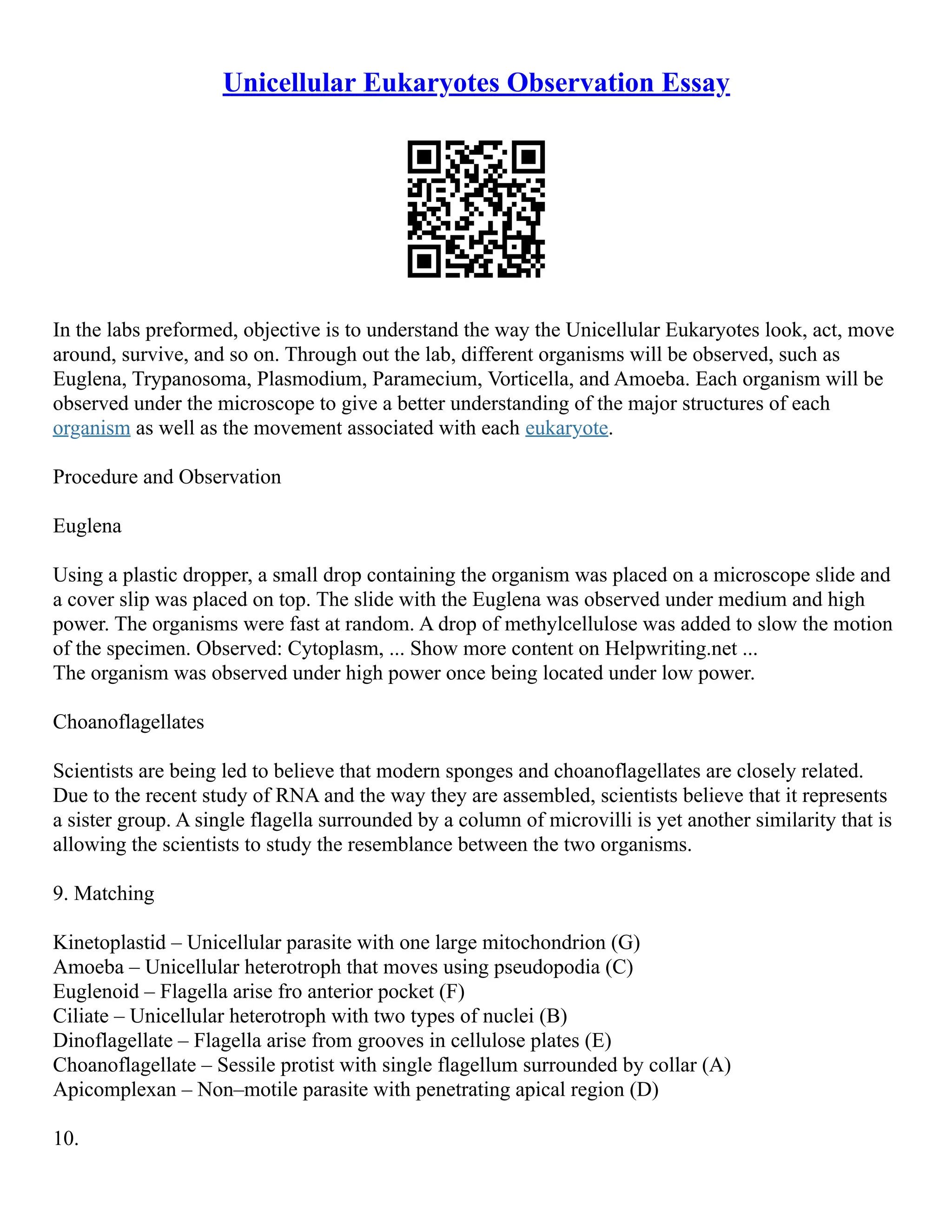 Comparison Of Paramecium, Amoeba, And Euglena | PDF