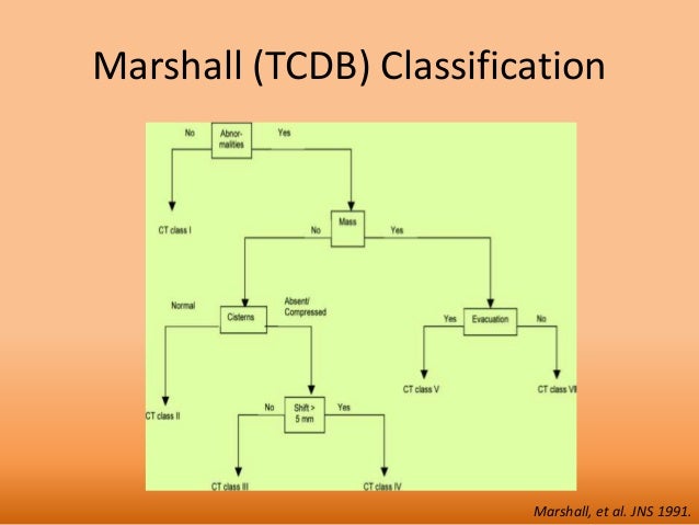 Marshall and Rotterdam CT scan grading