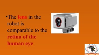 Comparison of the parts of the robot and human | PPT