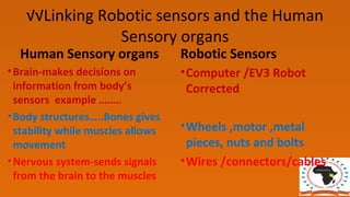 Comparison of the parts of the robot and human | PPT