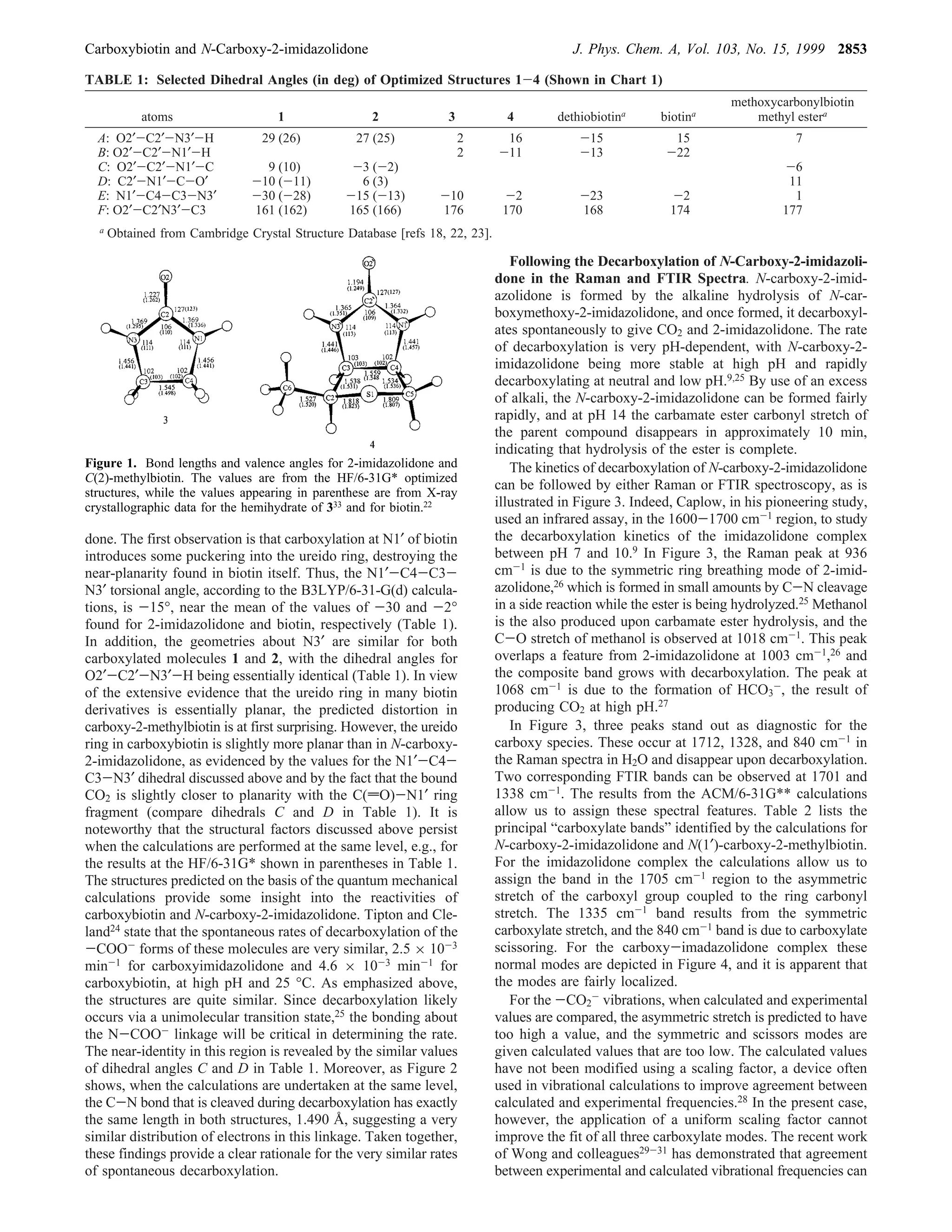 Comparison of the structures and vibrational modes of carboxybiotin and ...