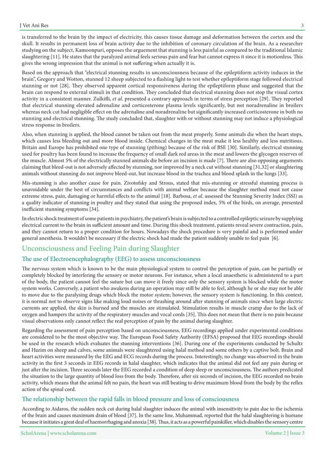 Comparison of the stunning and non stunning slaughtering methods in the ...