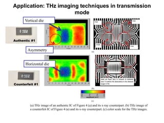 Imaging: X-ray and Terahertz imaging | PPTX