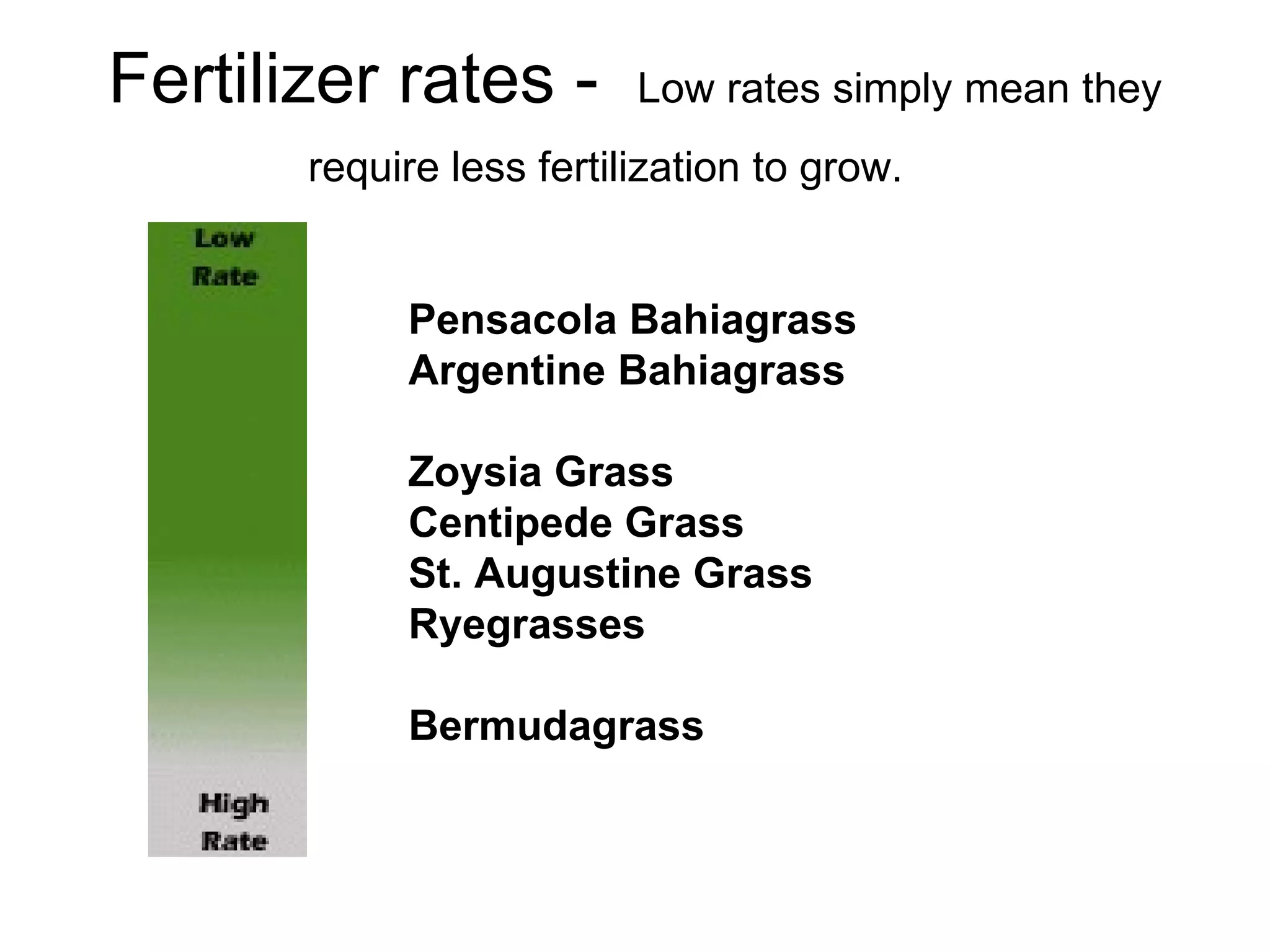 Comparison of warm season turfgrasses | PPT
