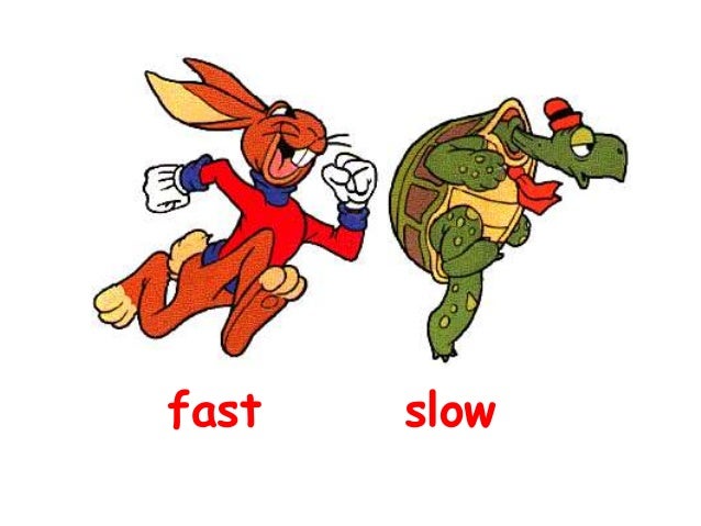 7th Grade Unit 1 Comparison