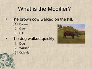 Comparisons & Modifiers | PPT