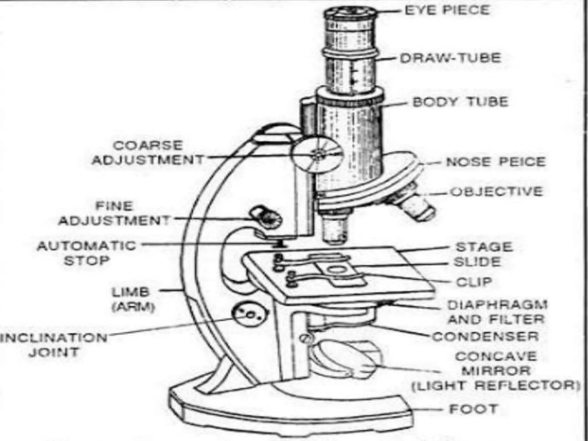 MICROSCOPY | PPT