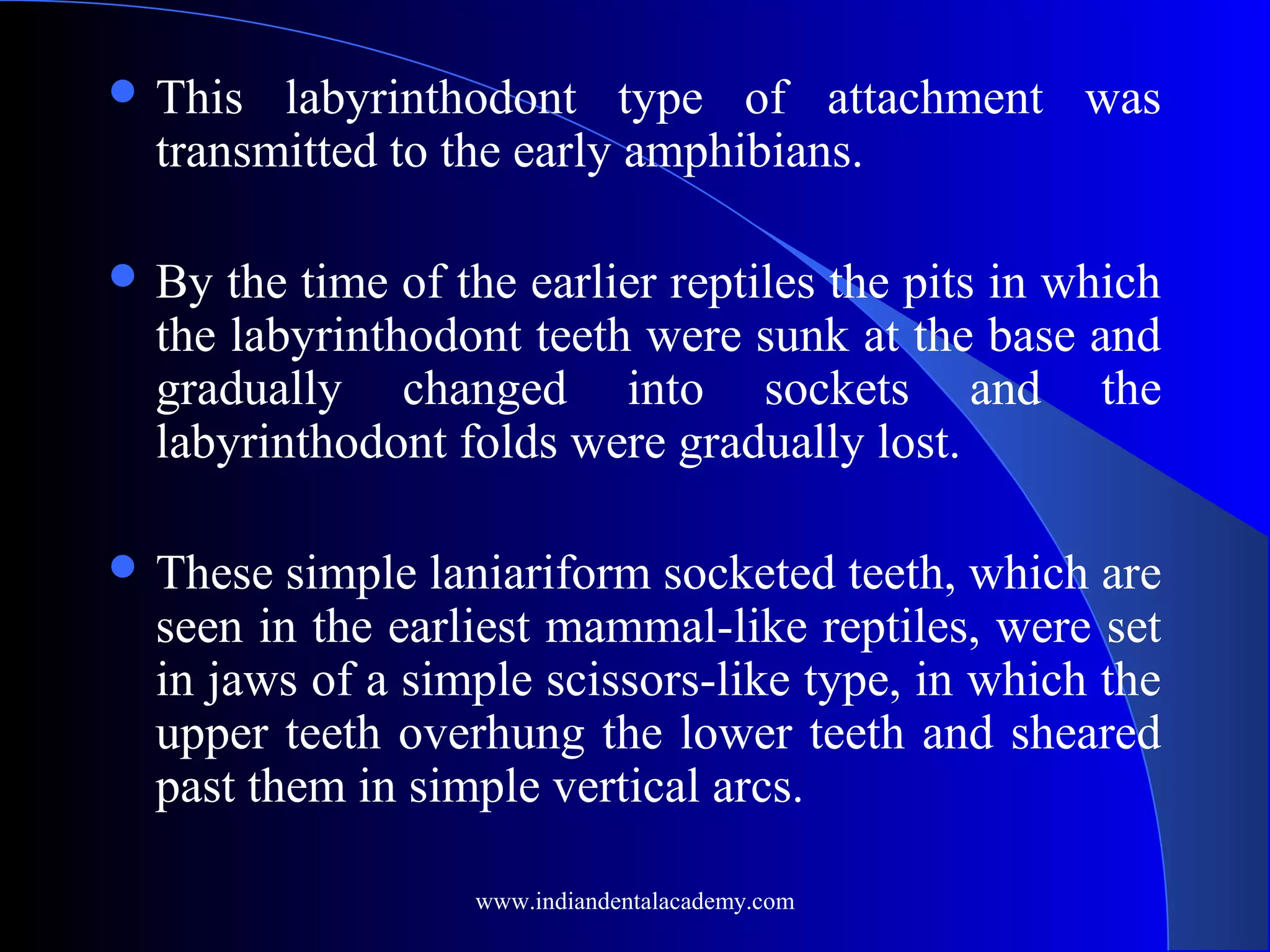 Comparitive anatomy of dentition | PPT