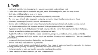 COMPARITIVE ANATOMY OF DIGESTIVE SYSTEM IN VERTEBRATES.pdf
