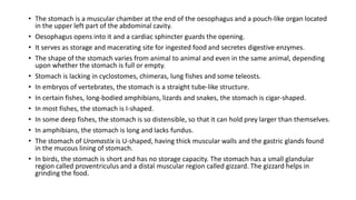 COMPARITIVE ANATOMY OF DIGESTIVE SYSTEM IN VERTEBRATES.pdf