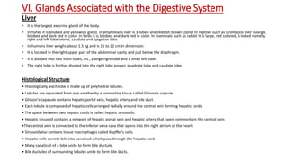COMPARITIVE ANATOMY OF DIGESTIVE SYSTEM IN VERTEBRATES.pdf
