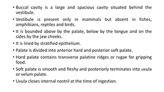COMPARITIVE ANATOMY OF DIGESTIVE SYSTEM IN VERTEBRATES.pdf