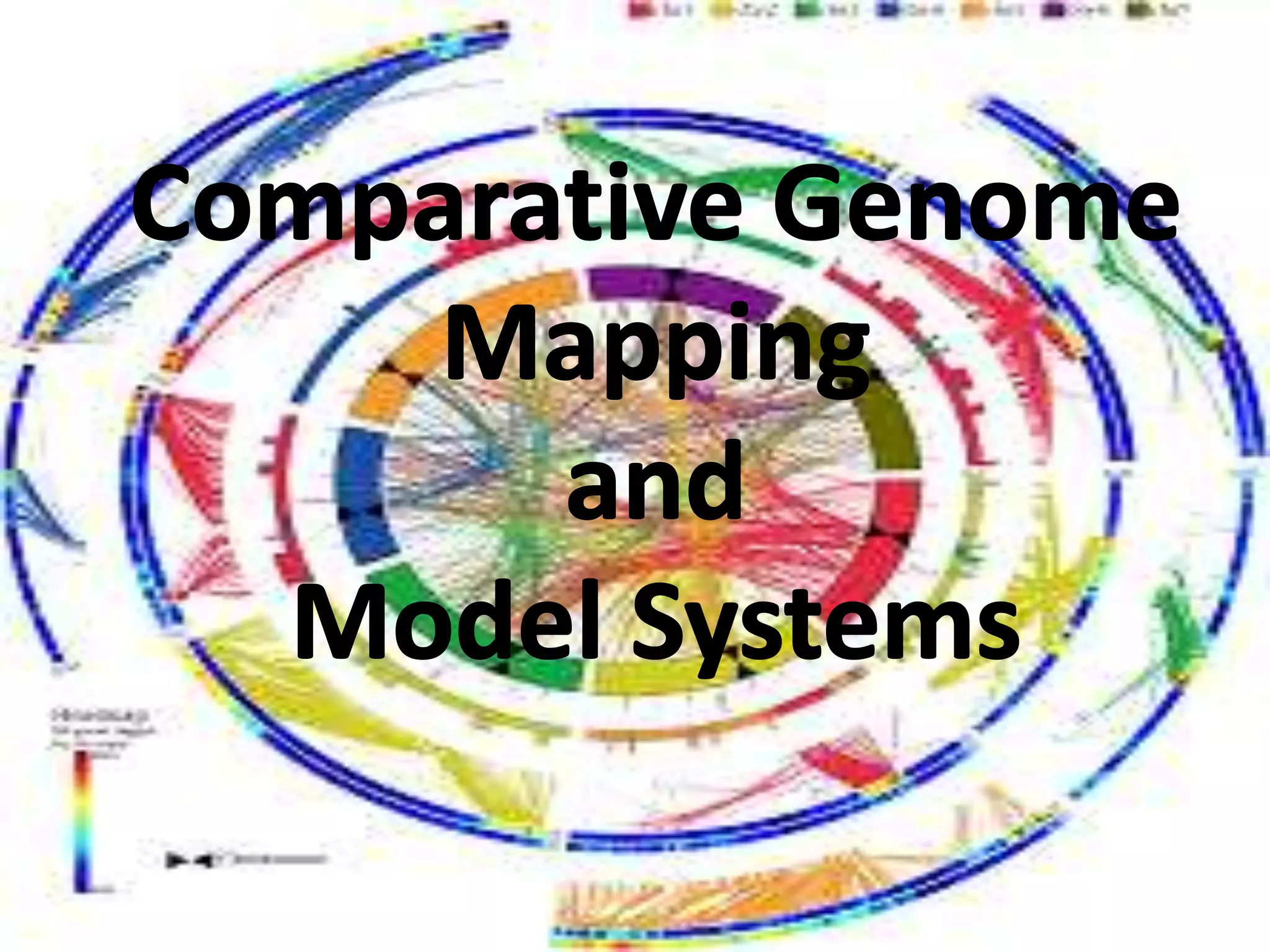 Comparitive genome mapping and model systems | PPTX