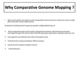 Comparitive genome mapping and model systems | PPTX