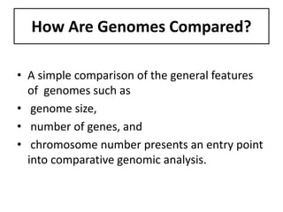 Comparitive genome mapping and model systems | PPTX
