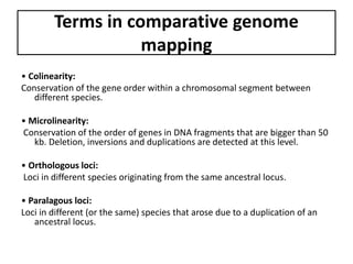 Comparitive genome mapping and model systems | PPTX