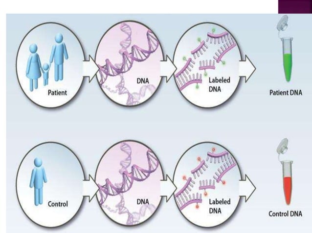 Comparitive genomic hybridisation | PPTX