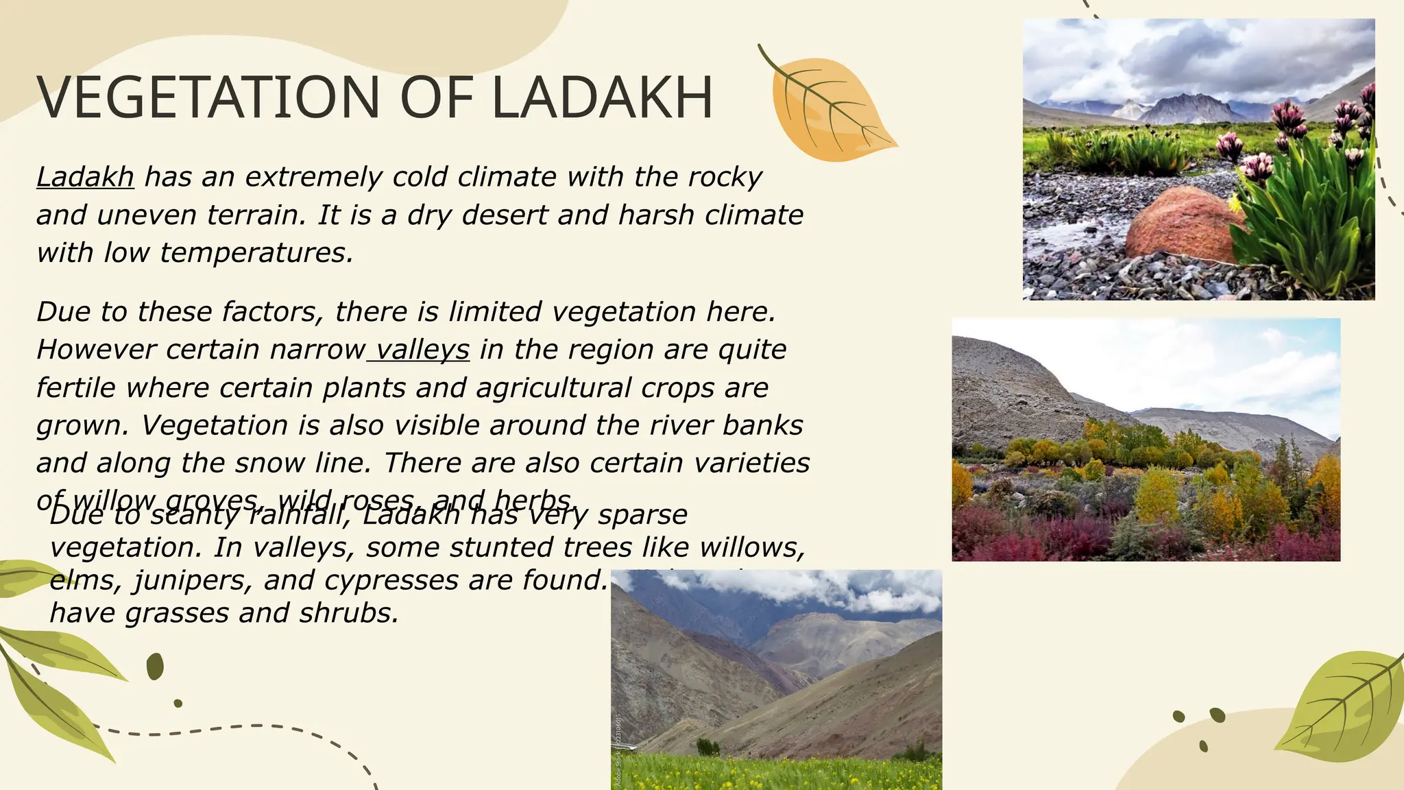 Comparitive study-geography karnataka and ladakh.pptx