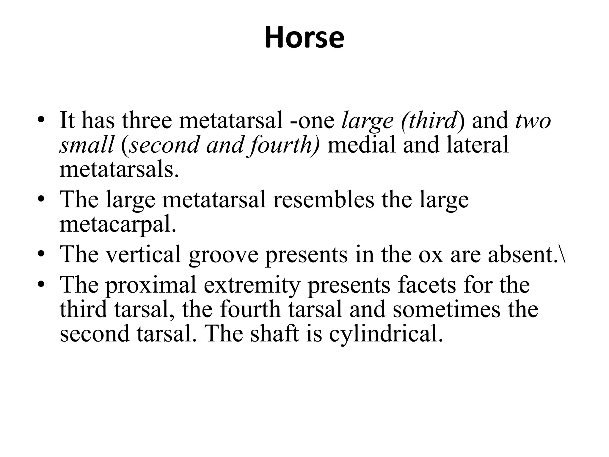 Comparitive Anatomy of Metatarsal bones in different animals.pptx