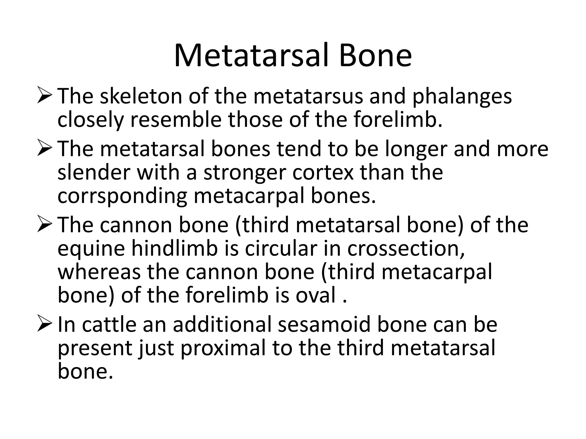 Comparitive Anatomy of Metatarsal bones in different animals.pptx