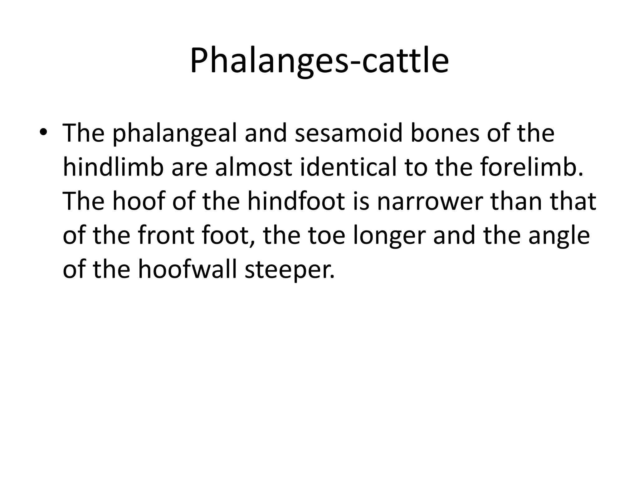 Comparitive Anatomy of Metatarsal bones in different animals.pptx