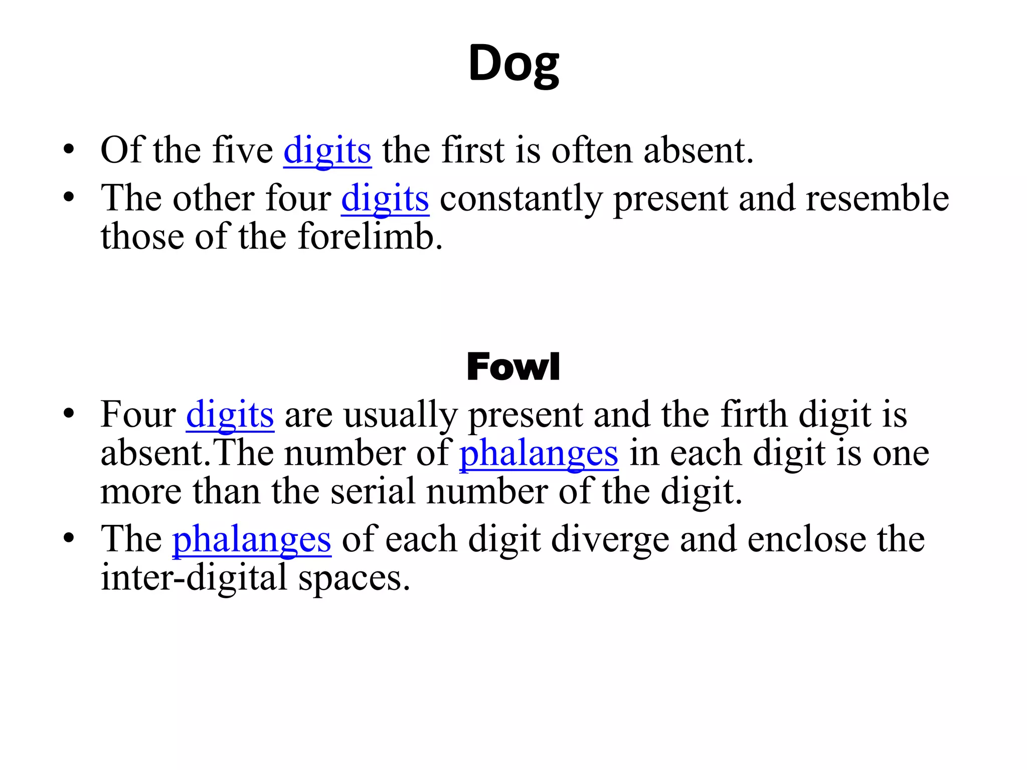 Comparitive Anatomy of Metatarsal bones in different animals.pptx