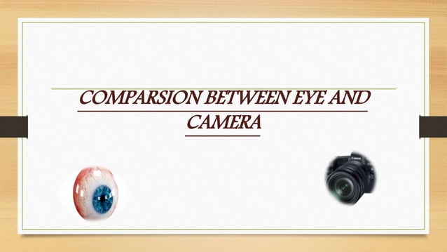 Comparsion between eye and camera ppt | PPTX
