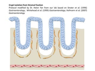 Compartment specific micro rna expression profiles (poster) poster | PPT