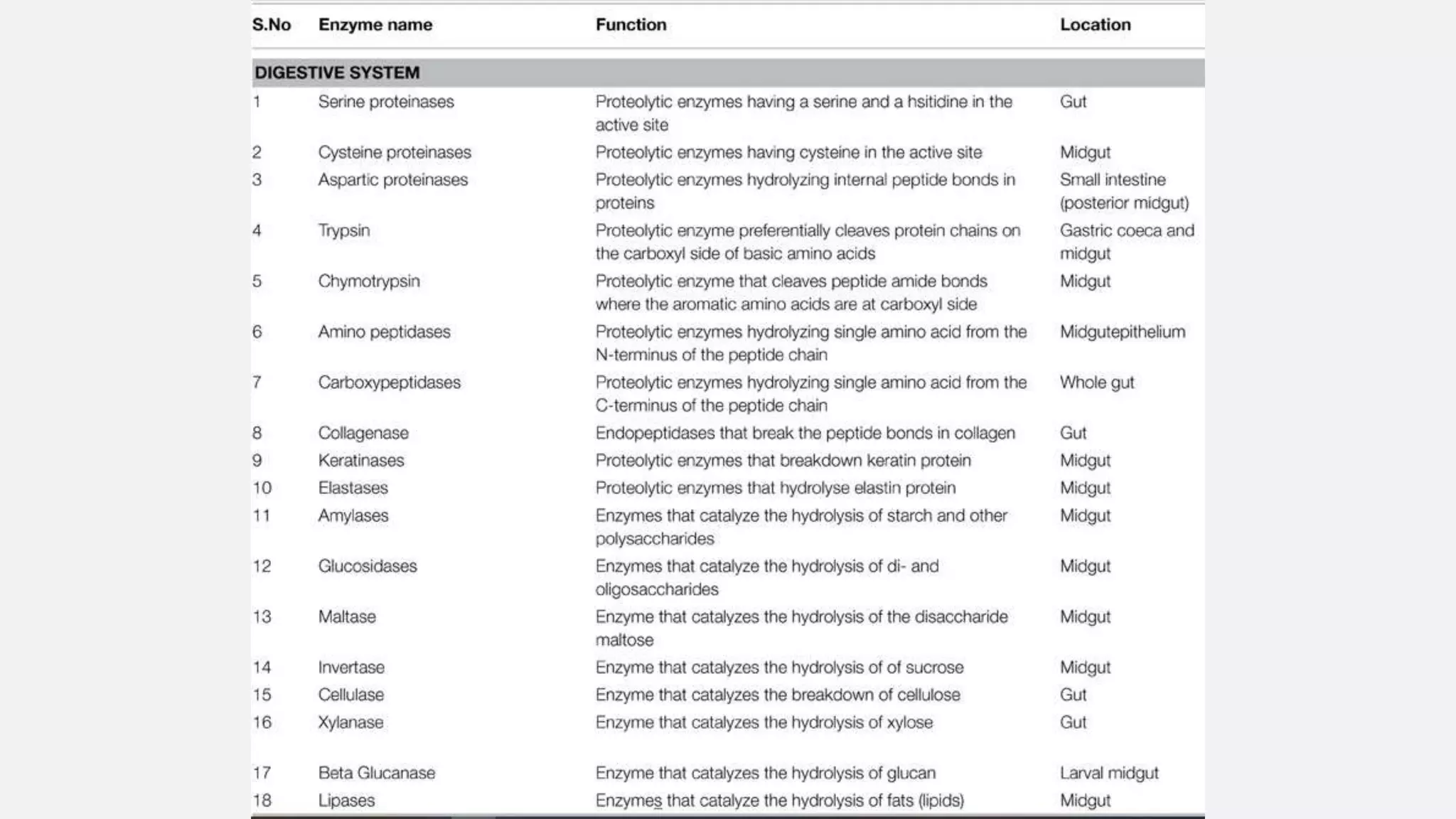 Compartmentalisation of enzymes in insects | PPT