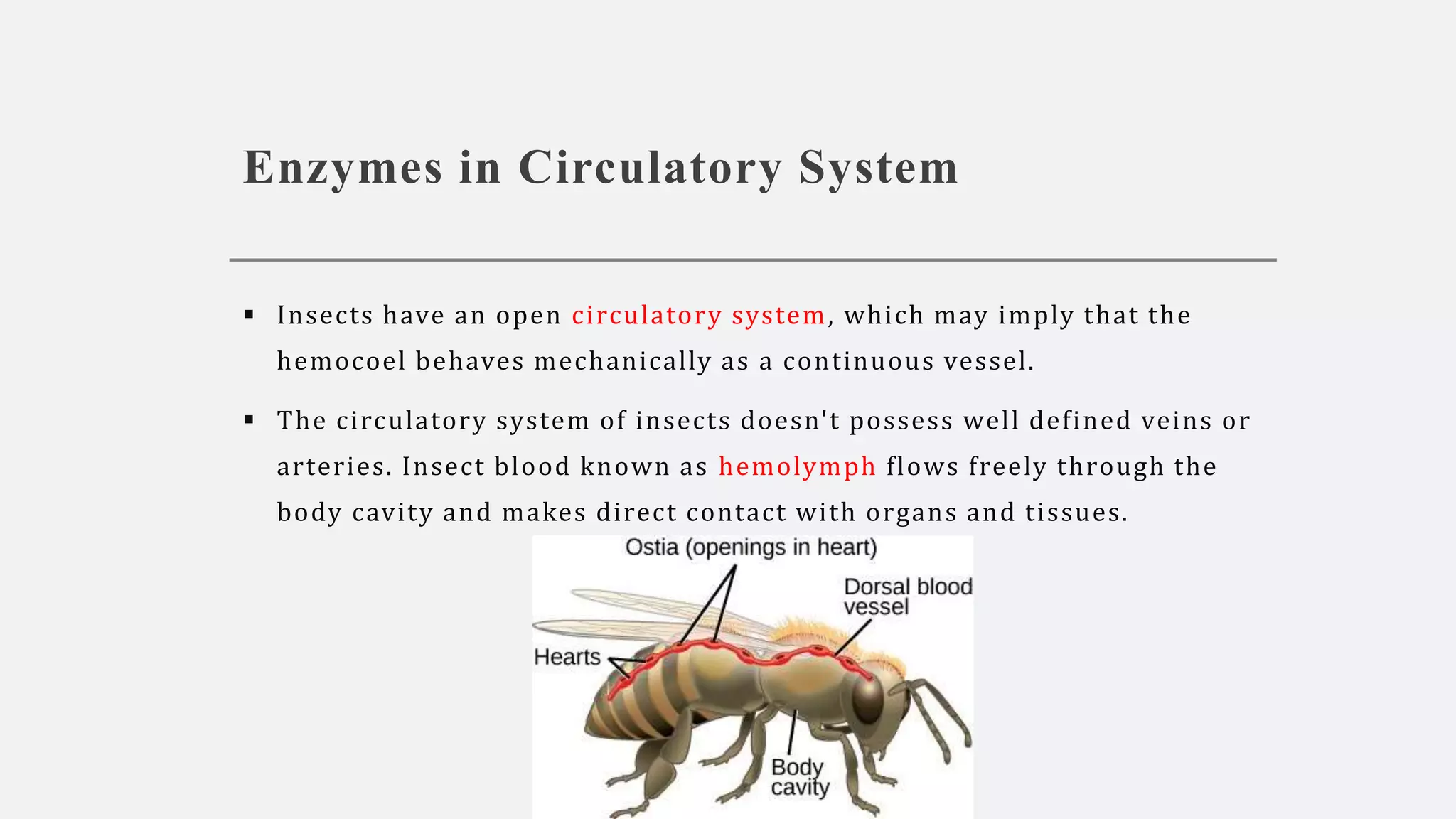 Compartmentalisation of enzymes in insects | PPTX