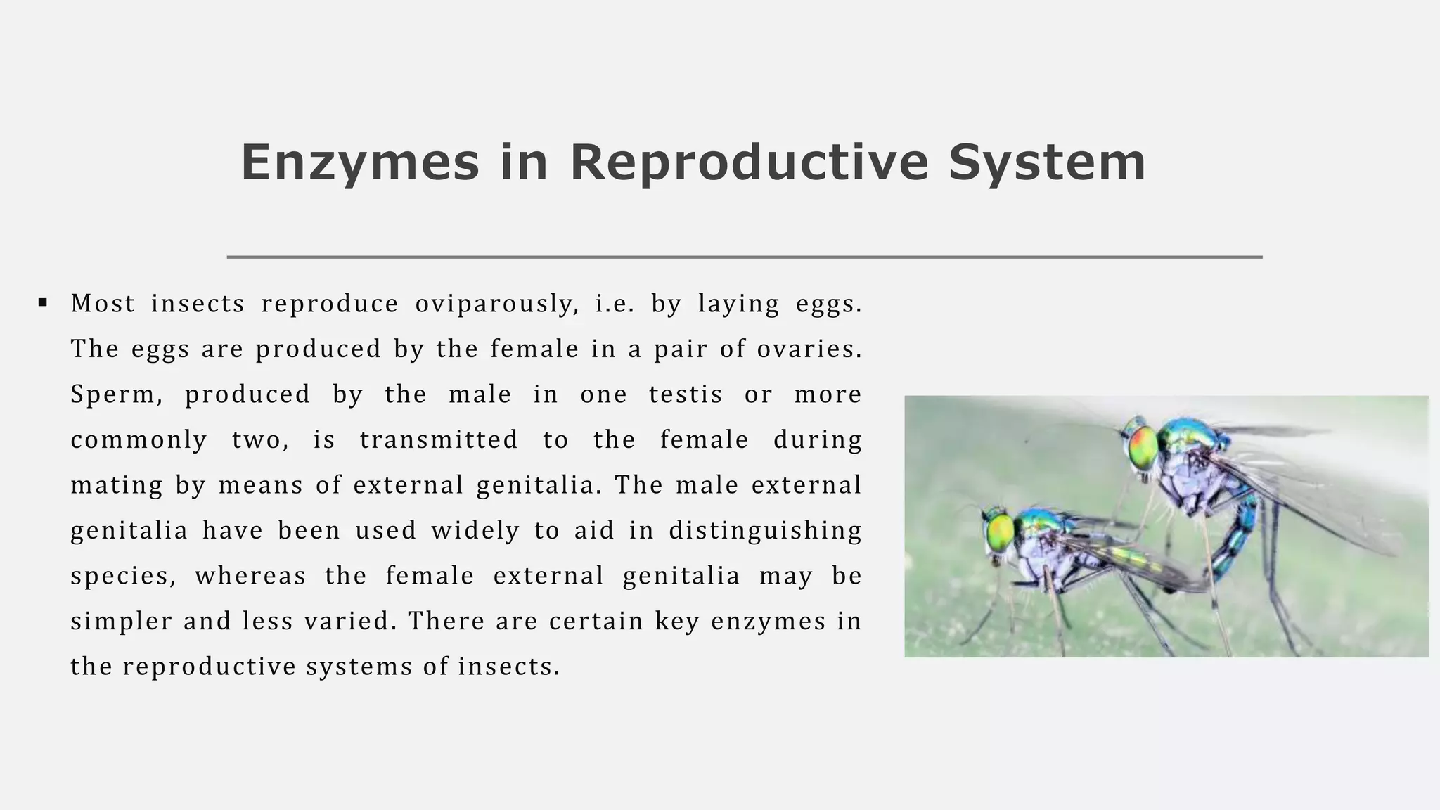 Compartmentalisation of enzymes in insects | PPTX