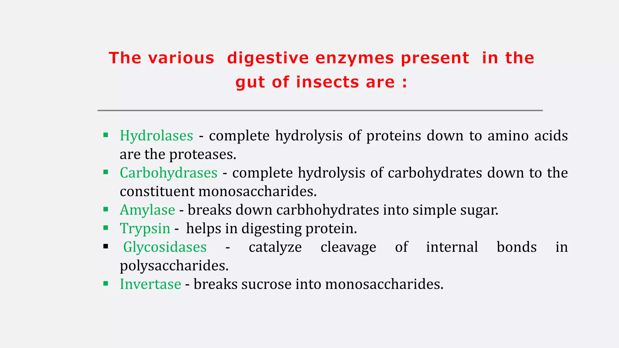 Compartmentalisation of enzymes in insects | PPTX