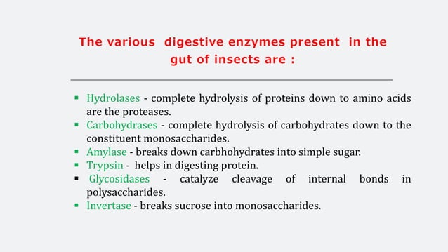 Compartmentalisation of enzymes in insects | PPT