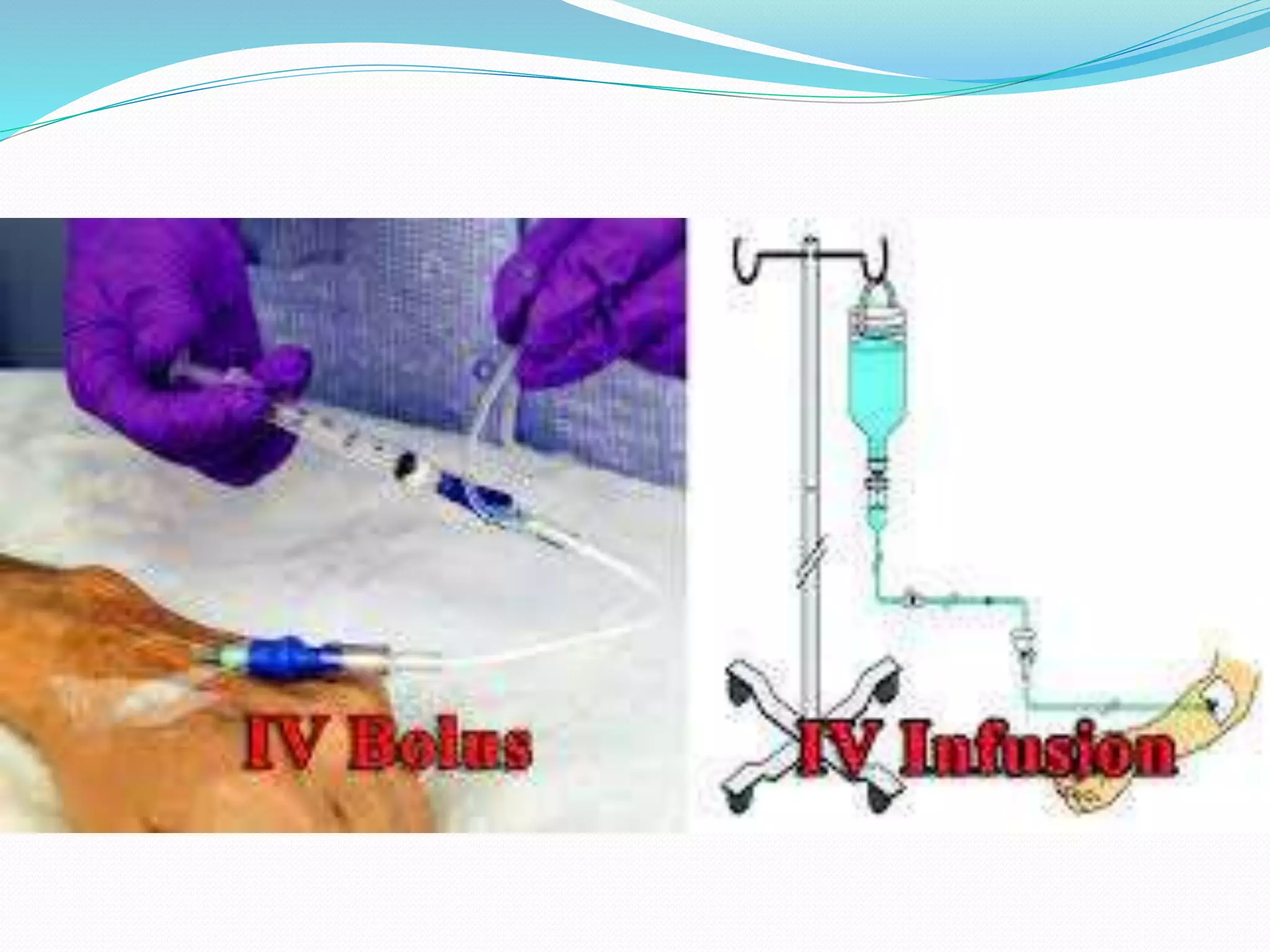 COMPARTMENT BODY MEDELING-1.pptx
