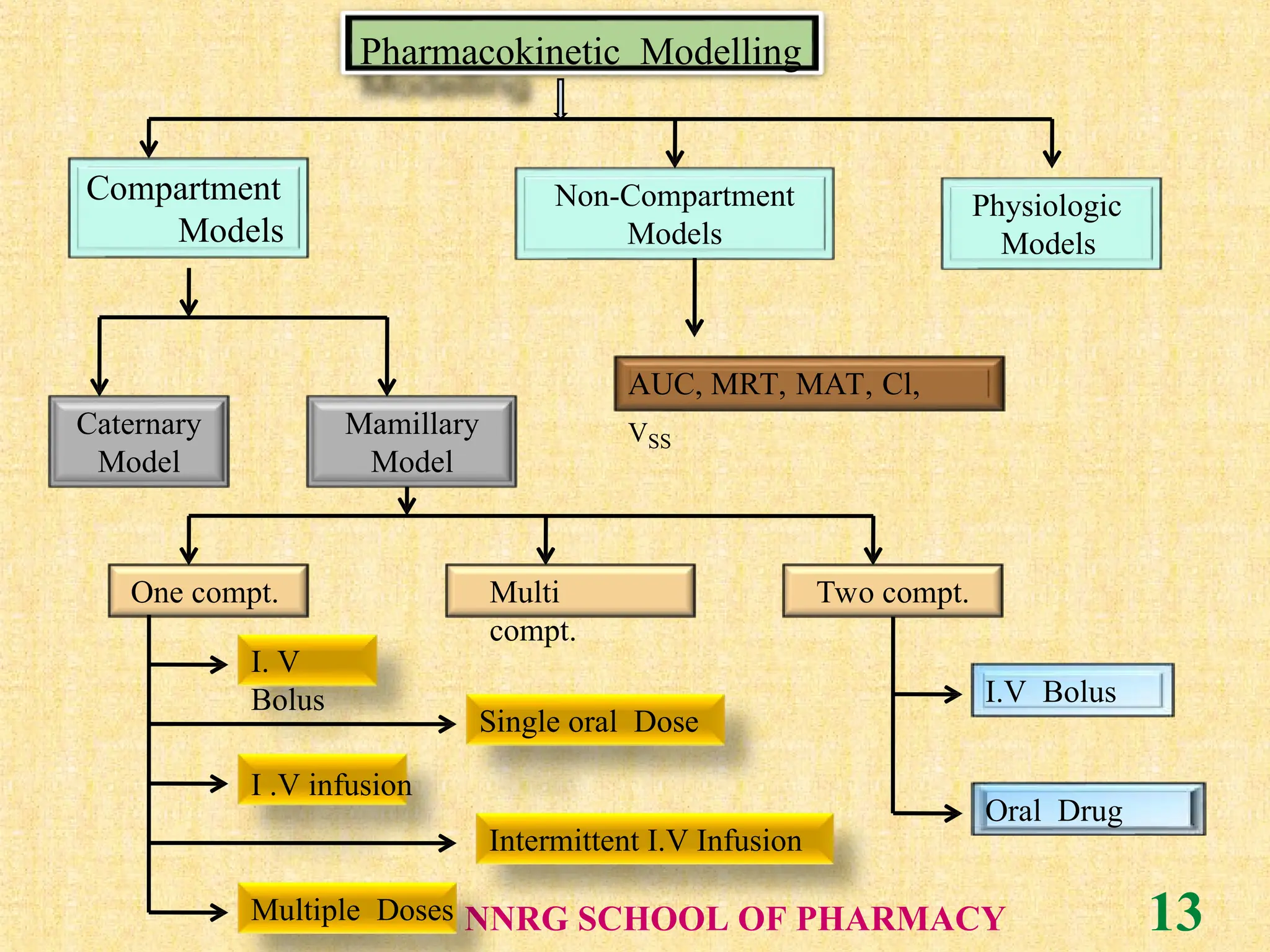 Compartment Model - Biopharmaceutics ppt | PPT
