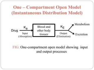 Compartment modeling | PPT