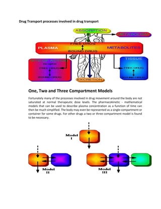 Compartment models | DOC