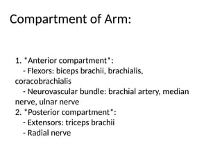 Compartment Of Arm by - G. SARAYU.pptx