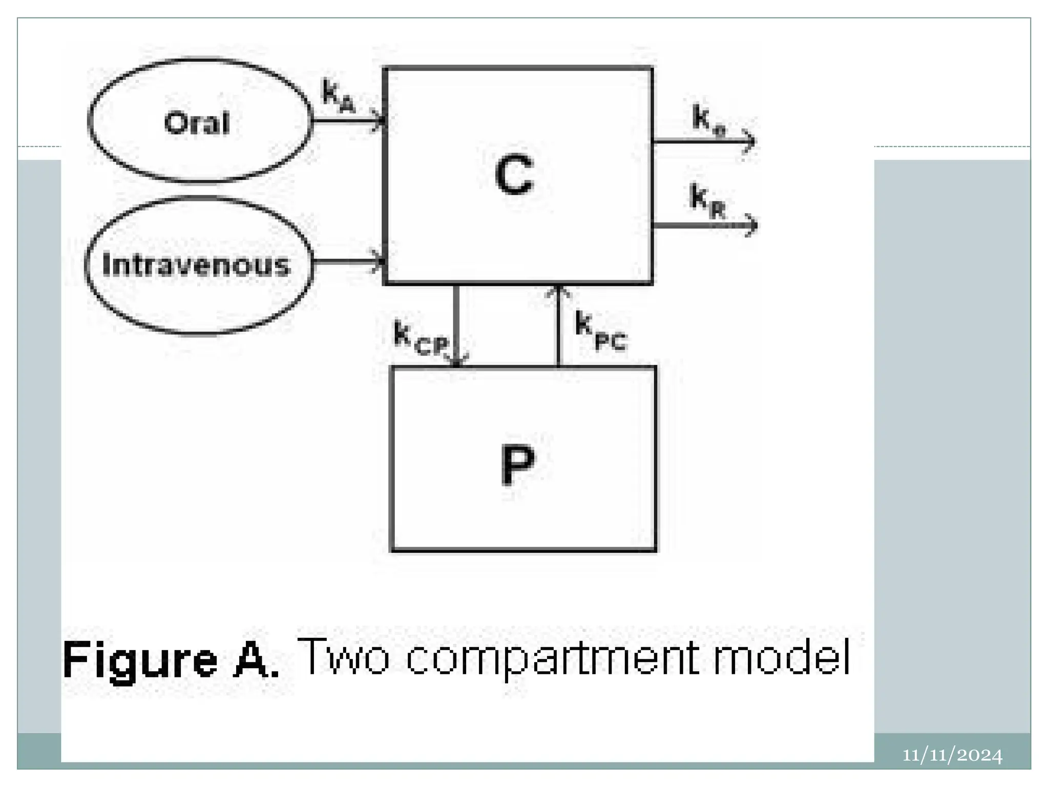 Compartment Open Models Biology 123.pptx