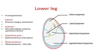 Compartment Syndrom Dr Saleem Sharif Medical City Hospital Lahore ...