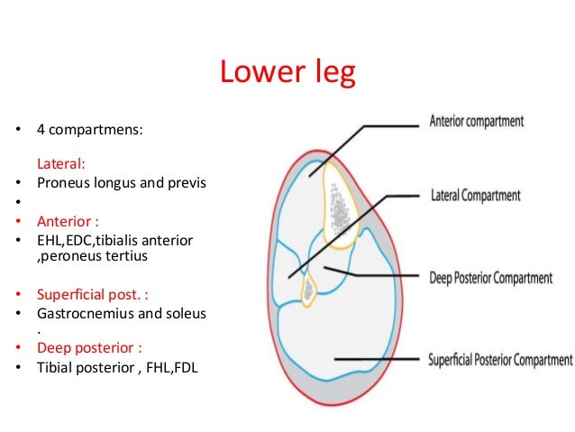 Compartment syndrome