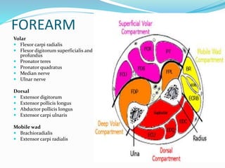 Compartment syndrome | PPTX