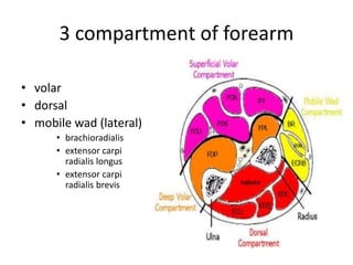 Compartment syndrome | PPTX
