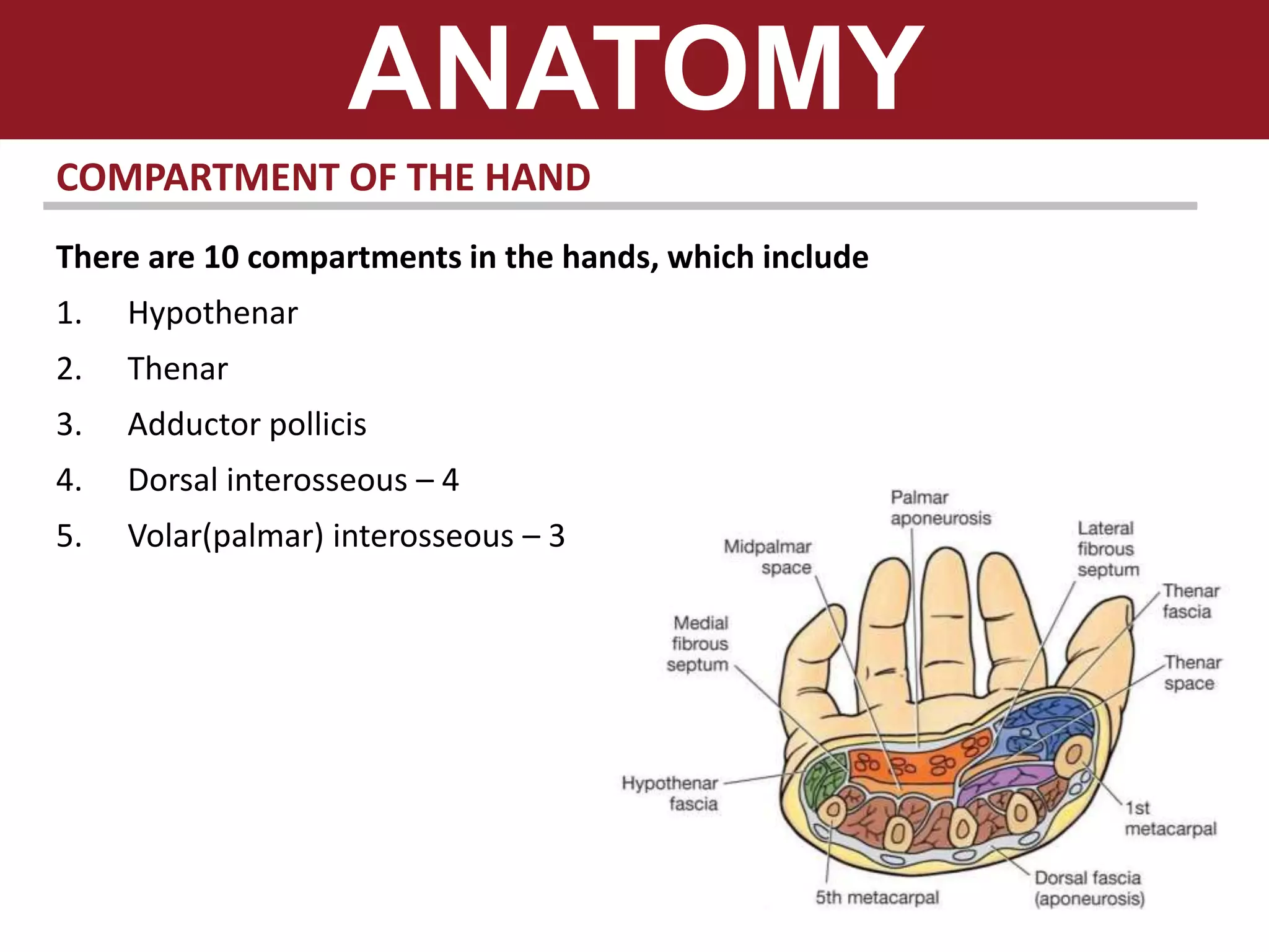 Compartment syndrome | PPTX