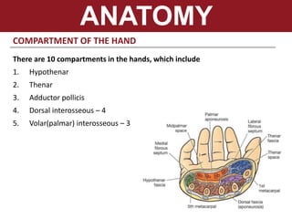 Compartment syndrome | PPTX