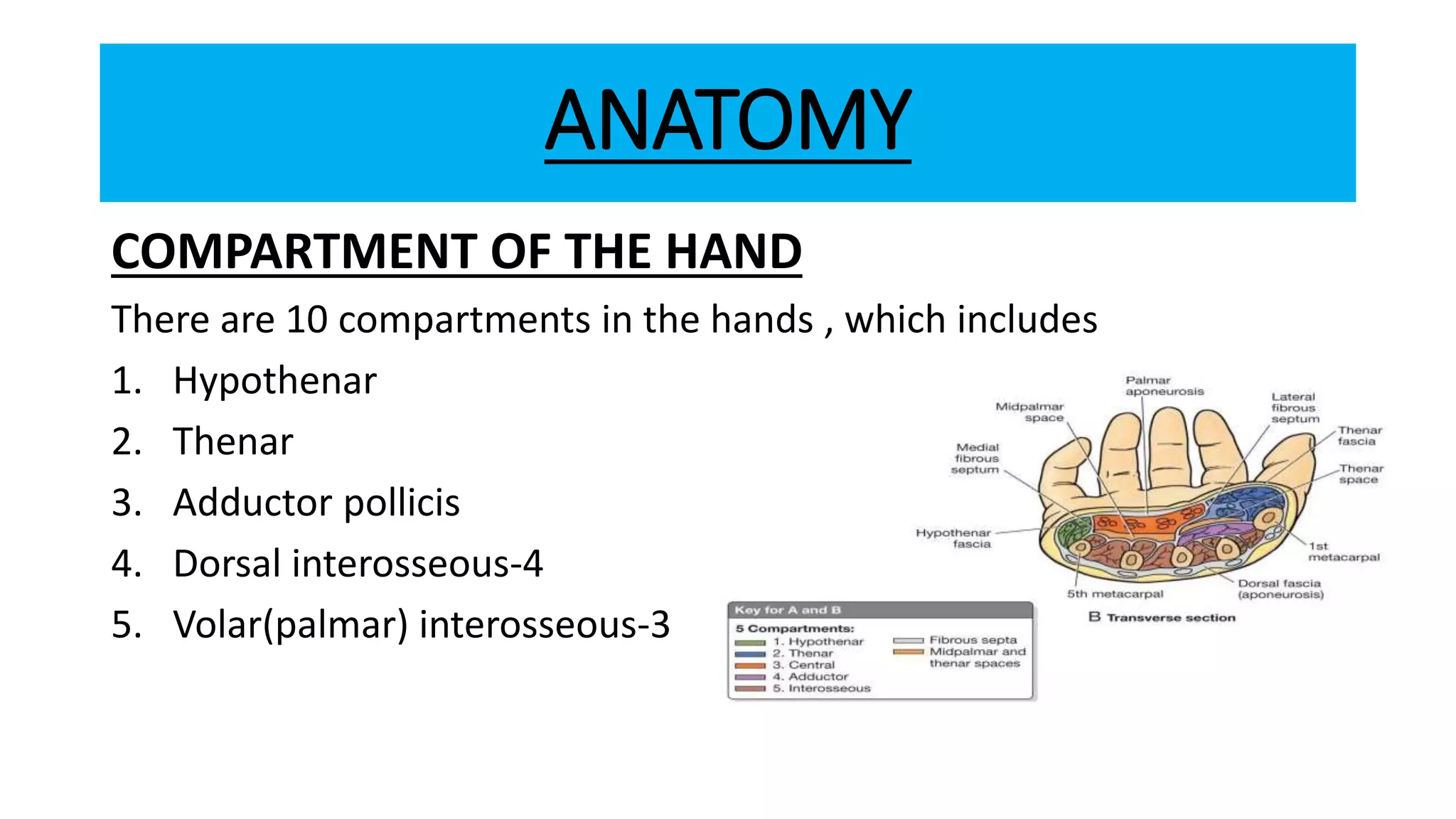COMPARTMENT SYNDROME.pptx