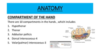 COMPARTMENT SYNDROME.pptx